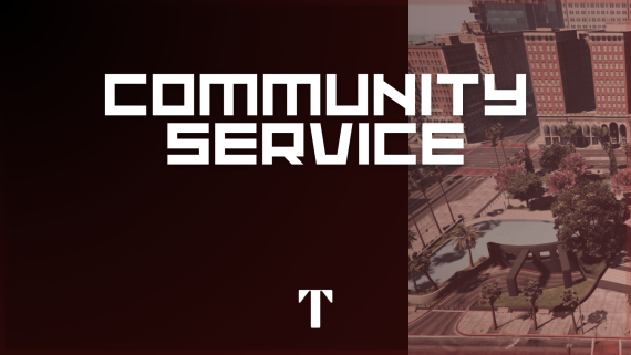 TheftDev Store | Community Service