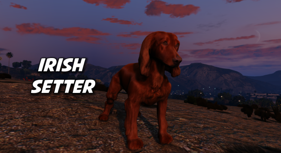 Popcorn Roleplay · Dogs