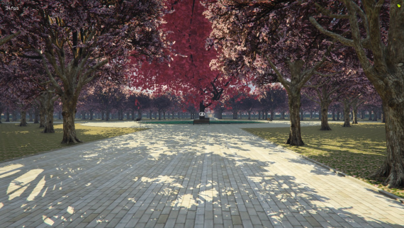 ZF Customs · Sakura Park