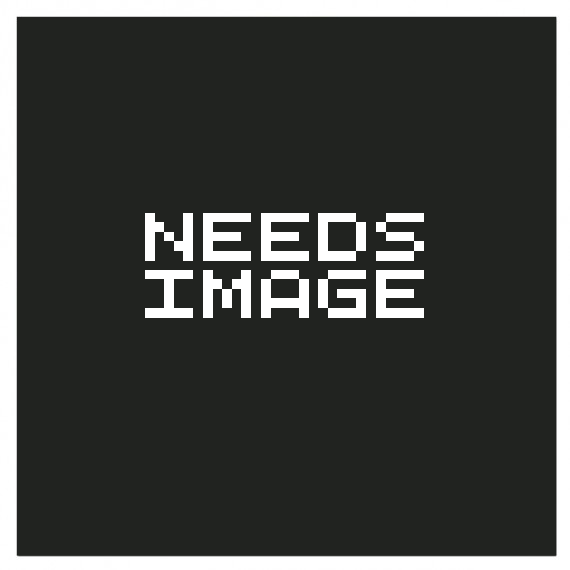 Salty Zombies Ark | Rare Chibi's