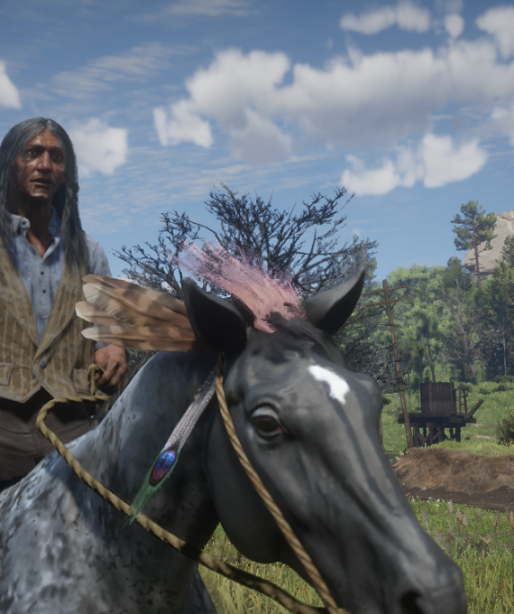 Macabre Redm | Native Horse Feathers 1