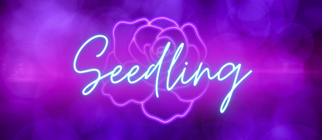 fatal_rose47 | CurseForge Pro