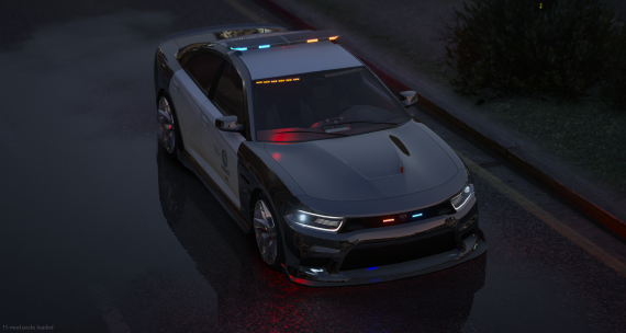 VD CUSTOMS | Bravado Buffalo STX