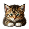 Dream RP · Pets