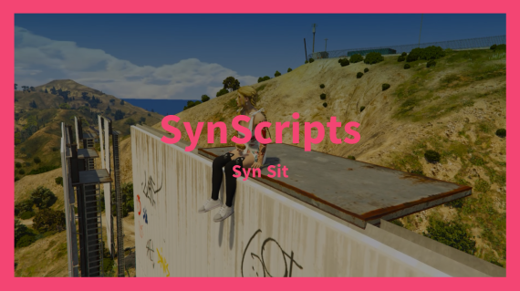 SynCity Scripts · Syn_Sit