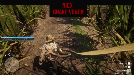 RicX Scripts | RedM Scripts