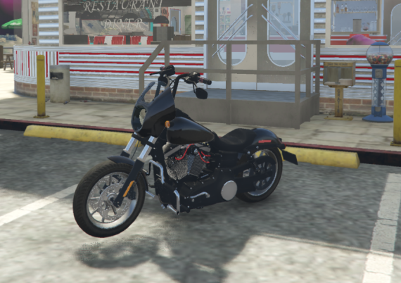 TrueVision RP · Dyna Bagger