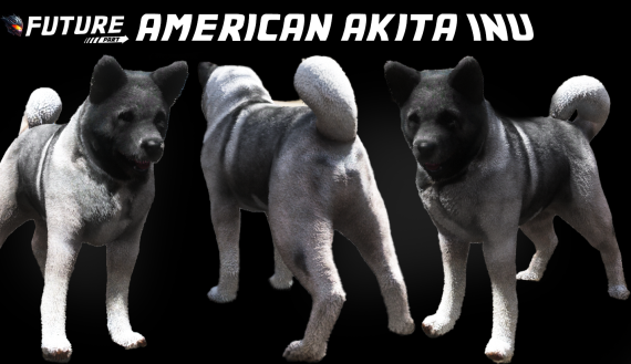 Future Store | American Akita Inu