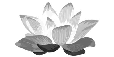 brazenlotus | CurseForge Pro