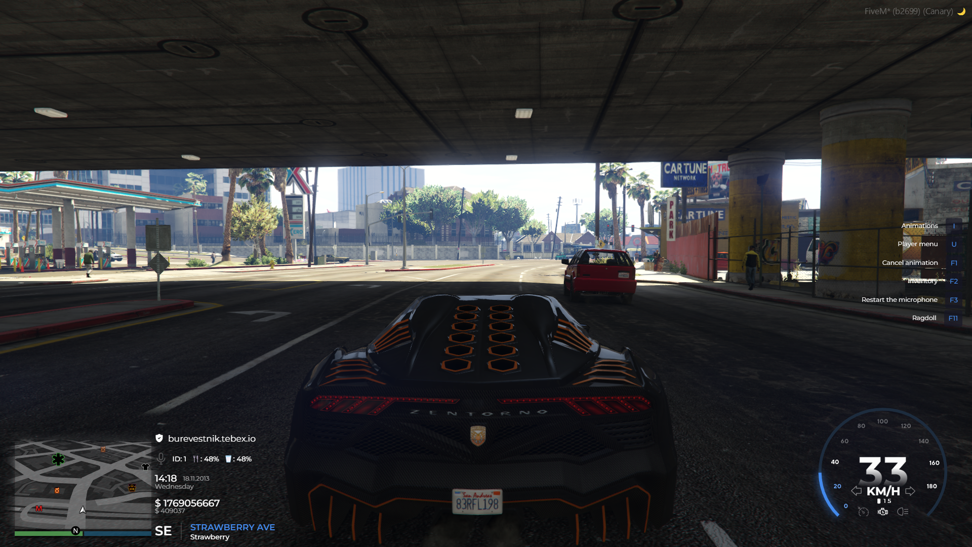 Burevestnik · HUD system