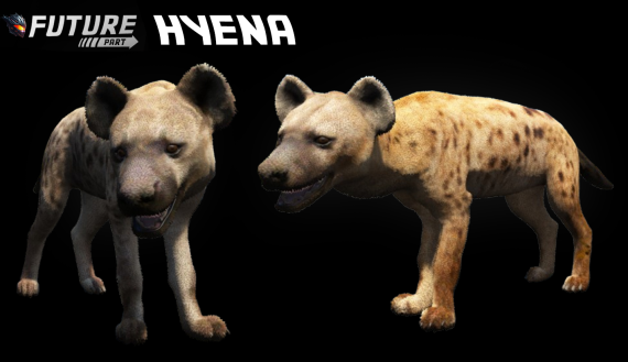 Future Store | Hyena