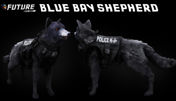 Future Store | Animals