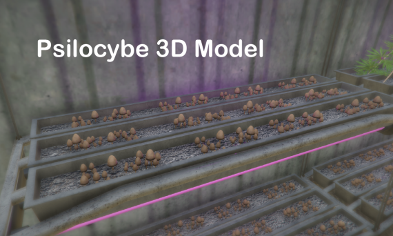 sModsk · Psilocybe 3d model's