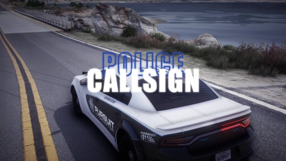 SCode · POLICE CALLSIGN [QBCore/ESX]