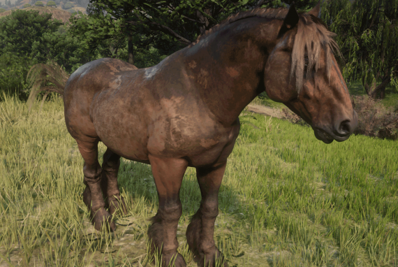 Red River Roleplay | Ardenner