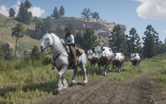 Forgotten Trails | Ownership of a Ranch (Open ticket PRIOR to purchase)