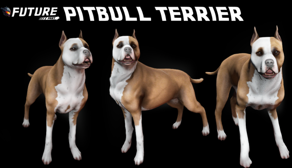 Future Store | Pitbull Terrier
