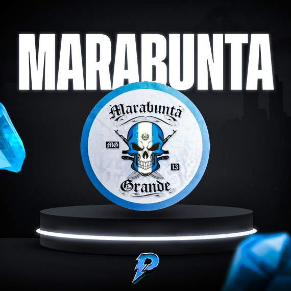 Power Roleplay | Preset Factions