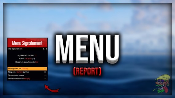 Fivem leak · Menu Report F11