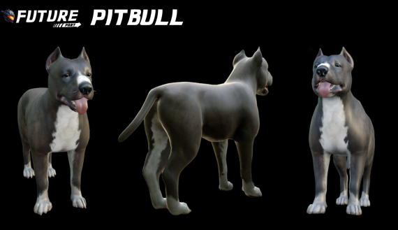 Future Store | Pitbull