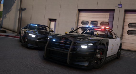 VD CUSTOMS | Bravado Buffalo