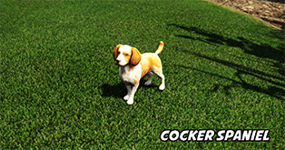 Popcorn Roleplay · Cocker Spaniel