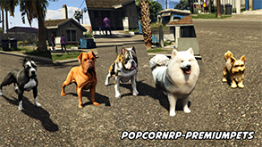 Popcorn Roleplay · Pets - Subscription