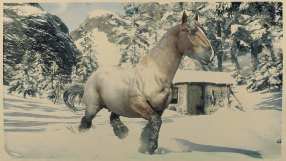 Bloody Mary | Pferde