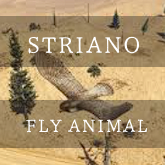 strianoscripts · Striano Fly Animal