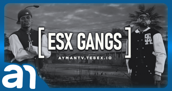 AN FiveM Scripts · AN Gang System | ESX