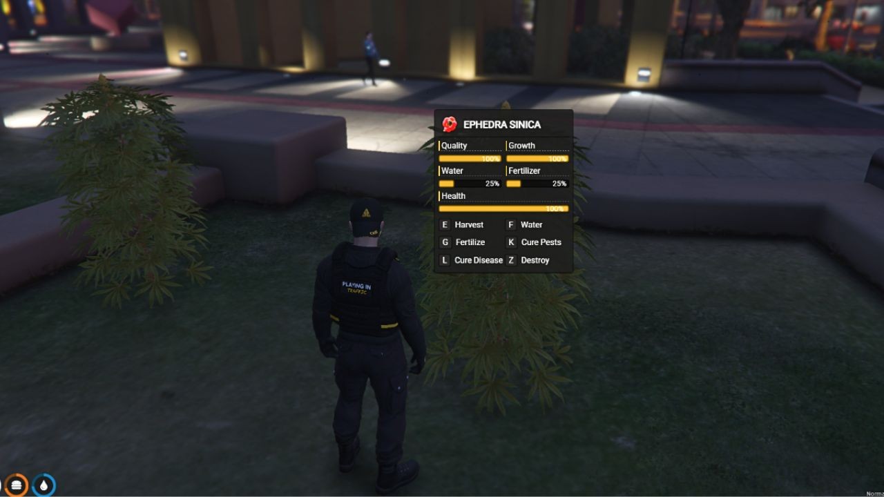 Playing In Traffic · Drug System (Source)