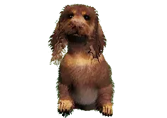 cDev | Standalone Animals