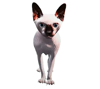 cDev | Standalone Animals