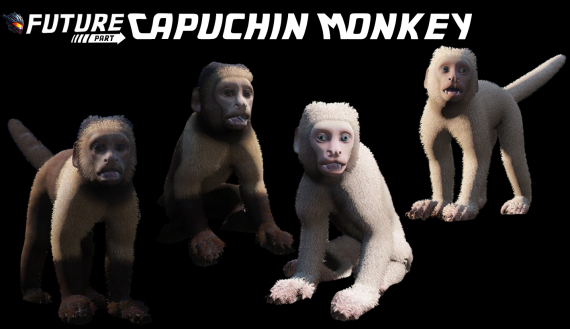 Future Store | Capuchin Monkey