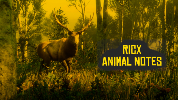 RicX RedM Scripts | RedM Scripts