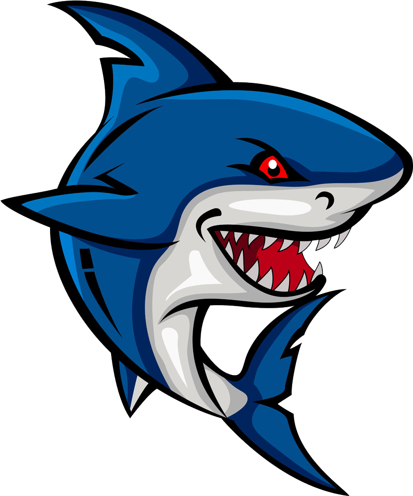 Shark Clothes | DISCORD