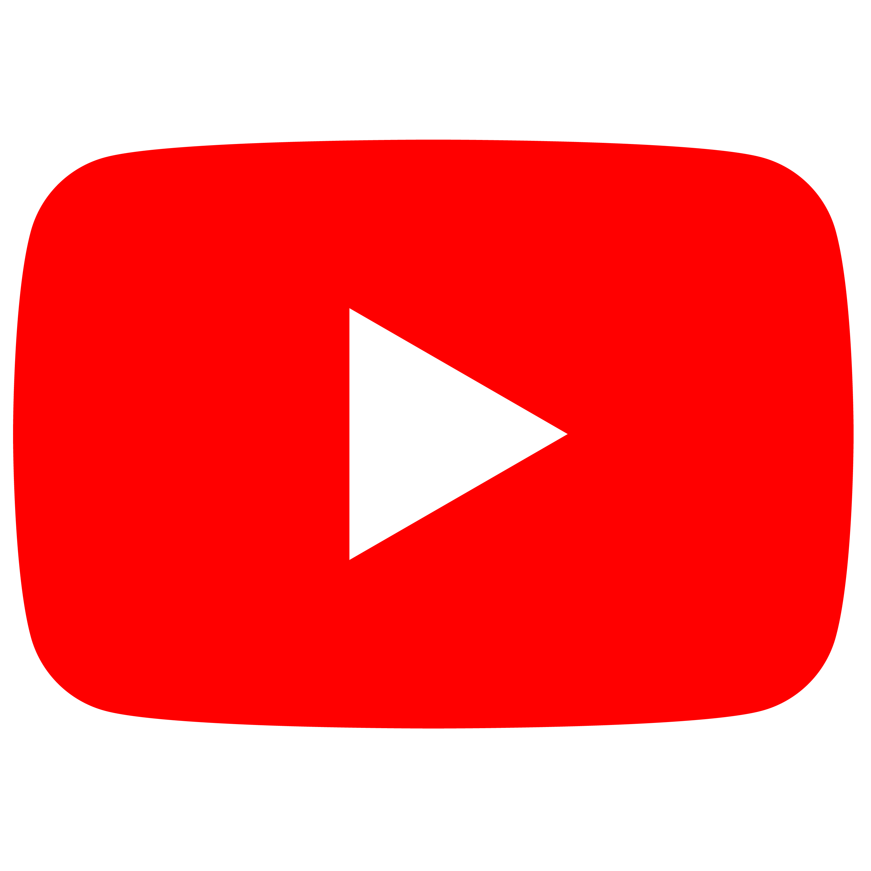 Danzo · Advanced Drone