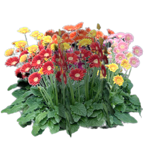 id ART Supporters Store | Petals and Wax Props