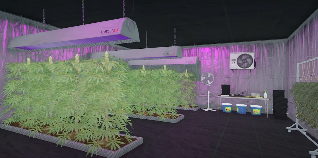 Breezy Roleplay | Postal 857