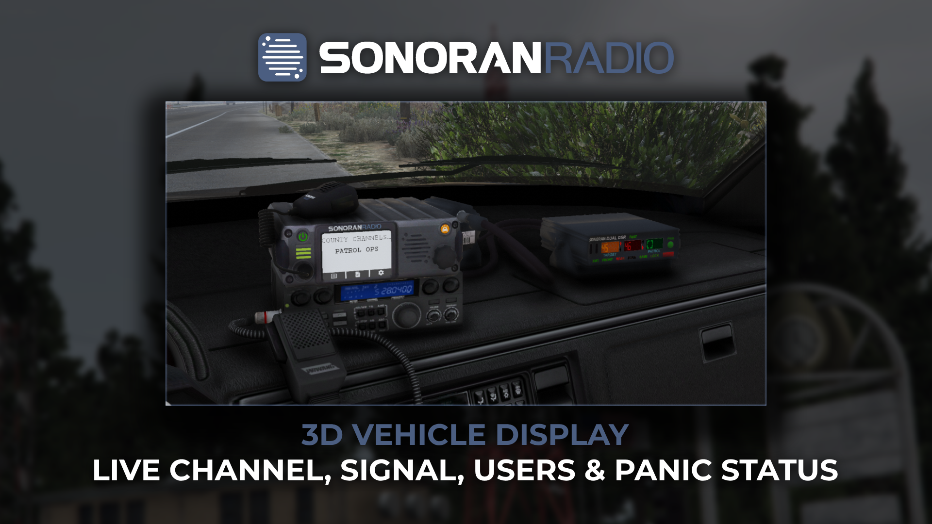 Sonoran Store | Radio Display