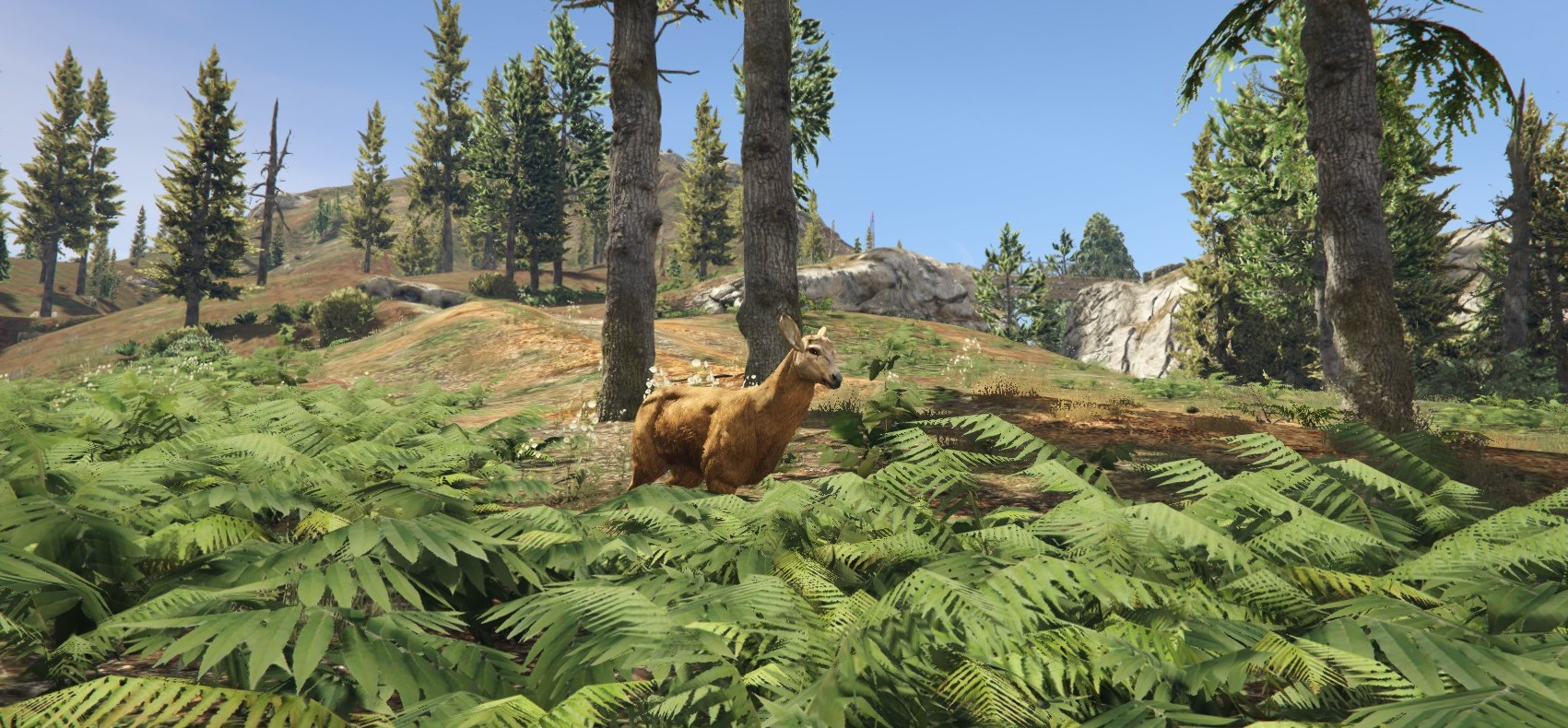 [PAID] [STANDALONE] Better Wildlife (Animal Spawning) - Releases - Cfx ...