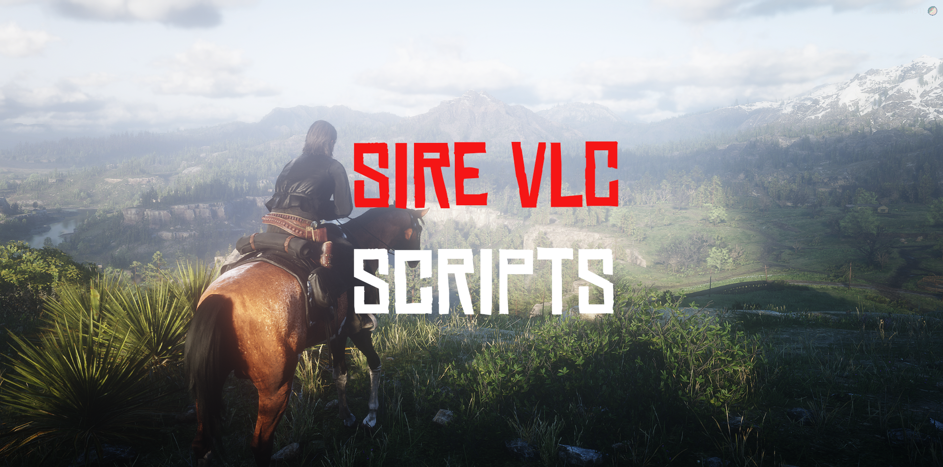 Sire VLC scripts | General Subscription Package
