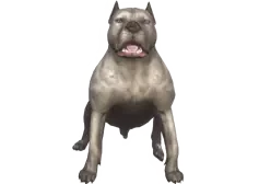 cDev | Standalone Dog – American Bully