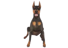 cDev | Standalone Dog – Doberman