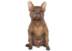cDev | Standalone Dog – French Bulldog