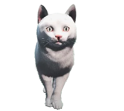 cDev | Standalone Cat – Turkish Van