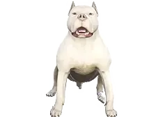 cDev | Standalone Dog – American Bully