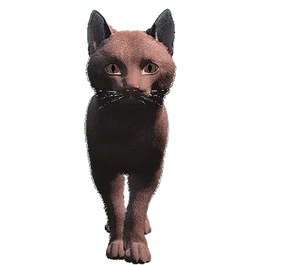 cDev | Standalone Cat – American Shorthair