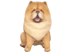 cDev | Standalone Dog – Chow Chow