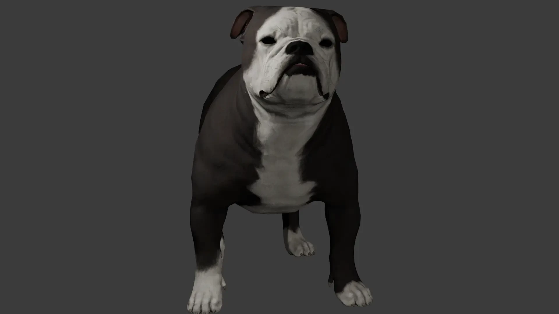 cDev | Standalone Dog – English Bulldog